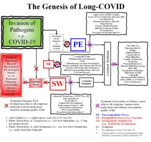 Treatment in Long COVID Syndrome
